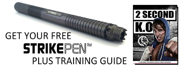Dragon MMA Workouts: Free Tactical Pen and Self Defense Guide