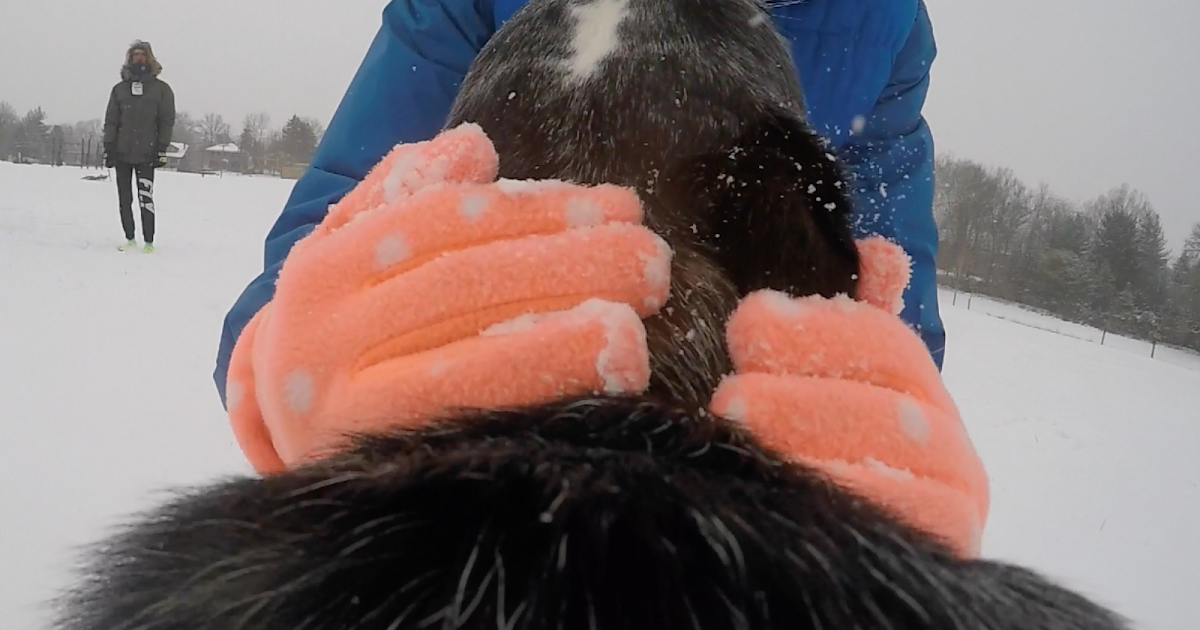 Four Crying Out Loud