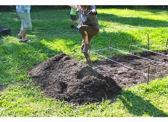 Our Little Backyard Farm: Kids Mud Obstacle Course
