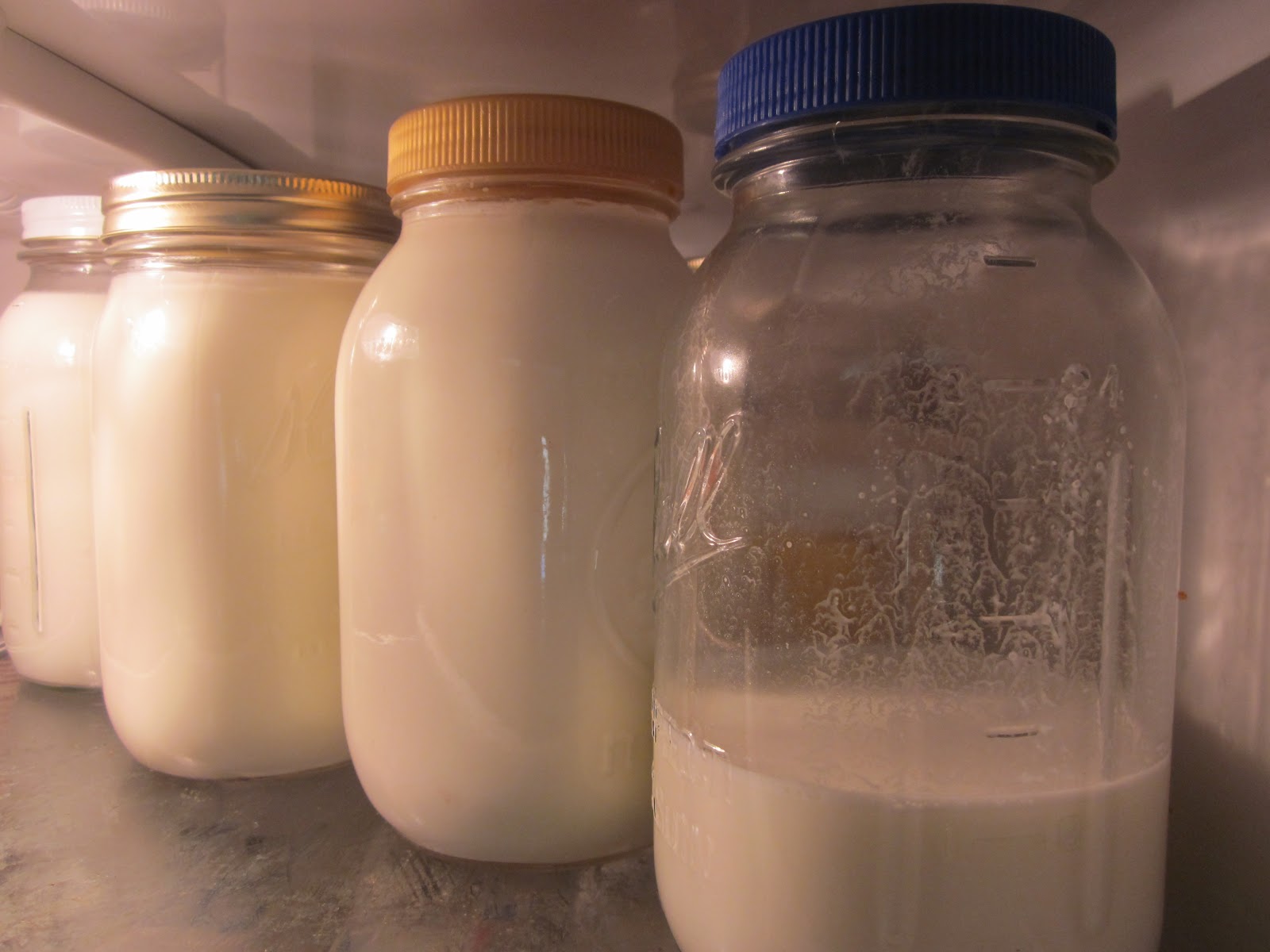 Ragamuffin's Musings