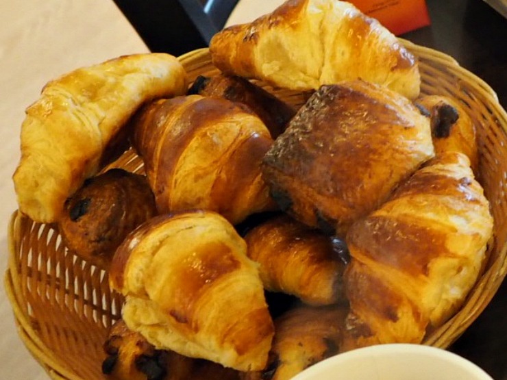 A Visit To The Cornish Seal Sanctuary Gweek Cornwall - The Diary Of A ...