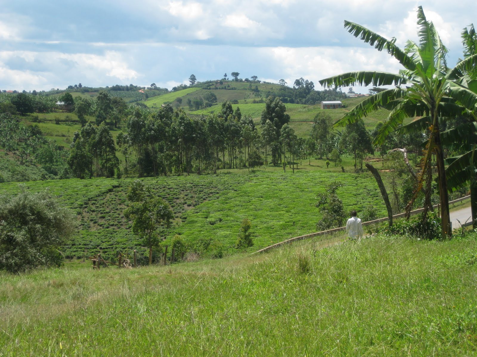 David and Beth in Uganda