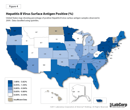 hepatitis b ~ infectious diseases