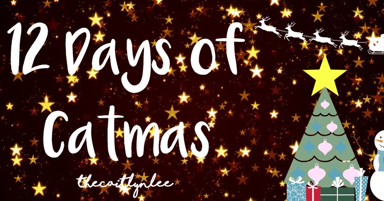 thecaitlynlee: The 12 Days of Catmas Is Finally Here! - Day 1