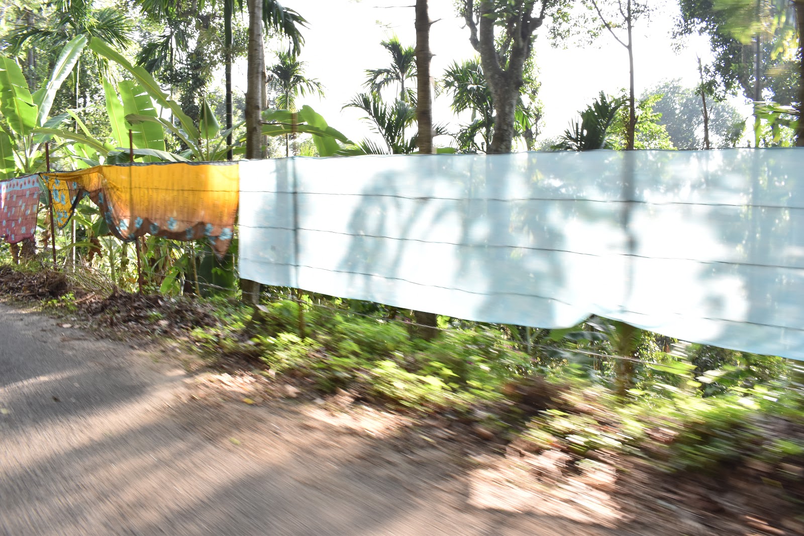 Ride to Pachalur, Kodaikanal and a visit to Christian fellowship Hospital.
