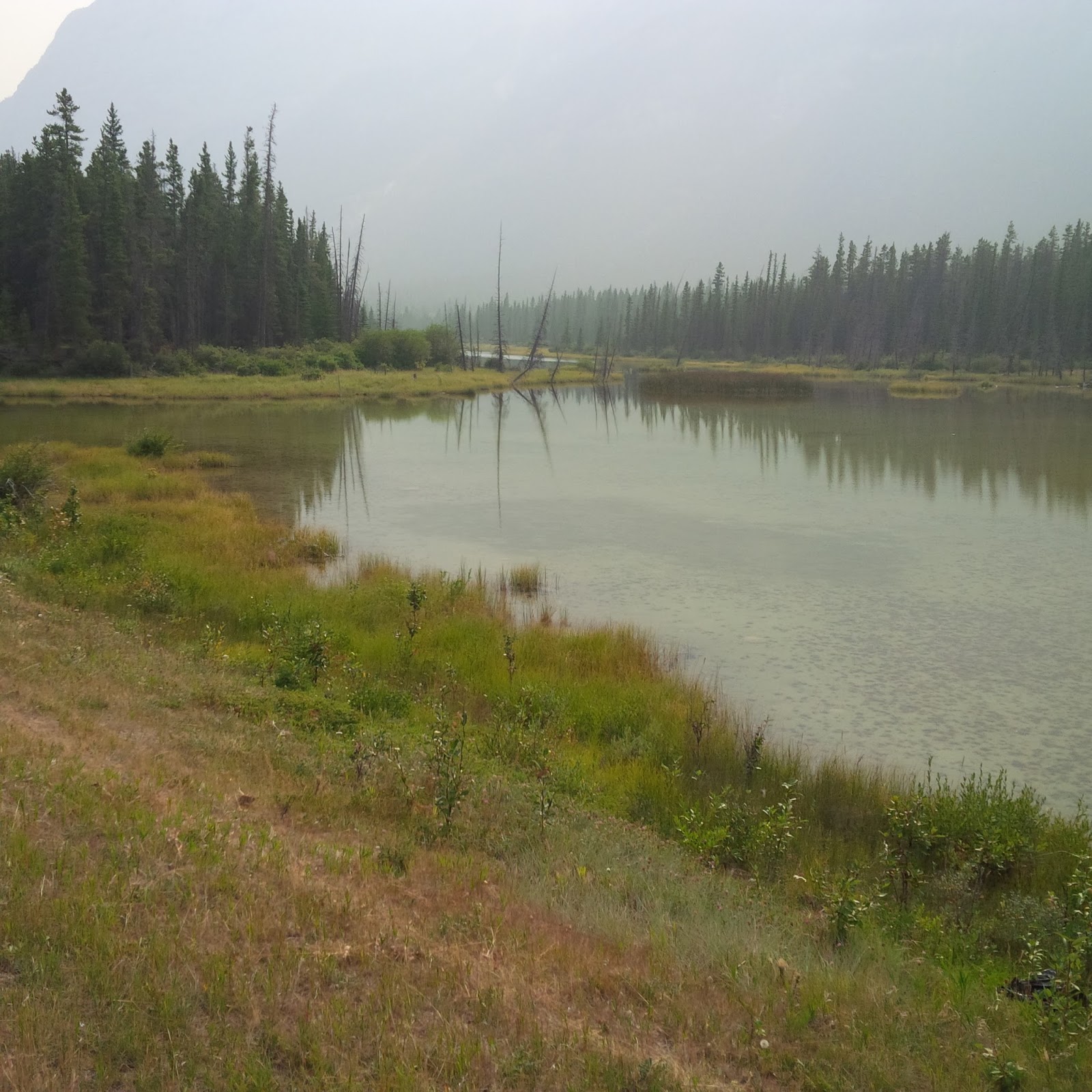 Cycle Adventures of an Edmontonian: Sunchild Road to Cline River, Alberta