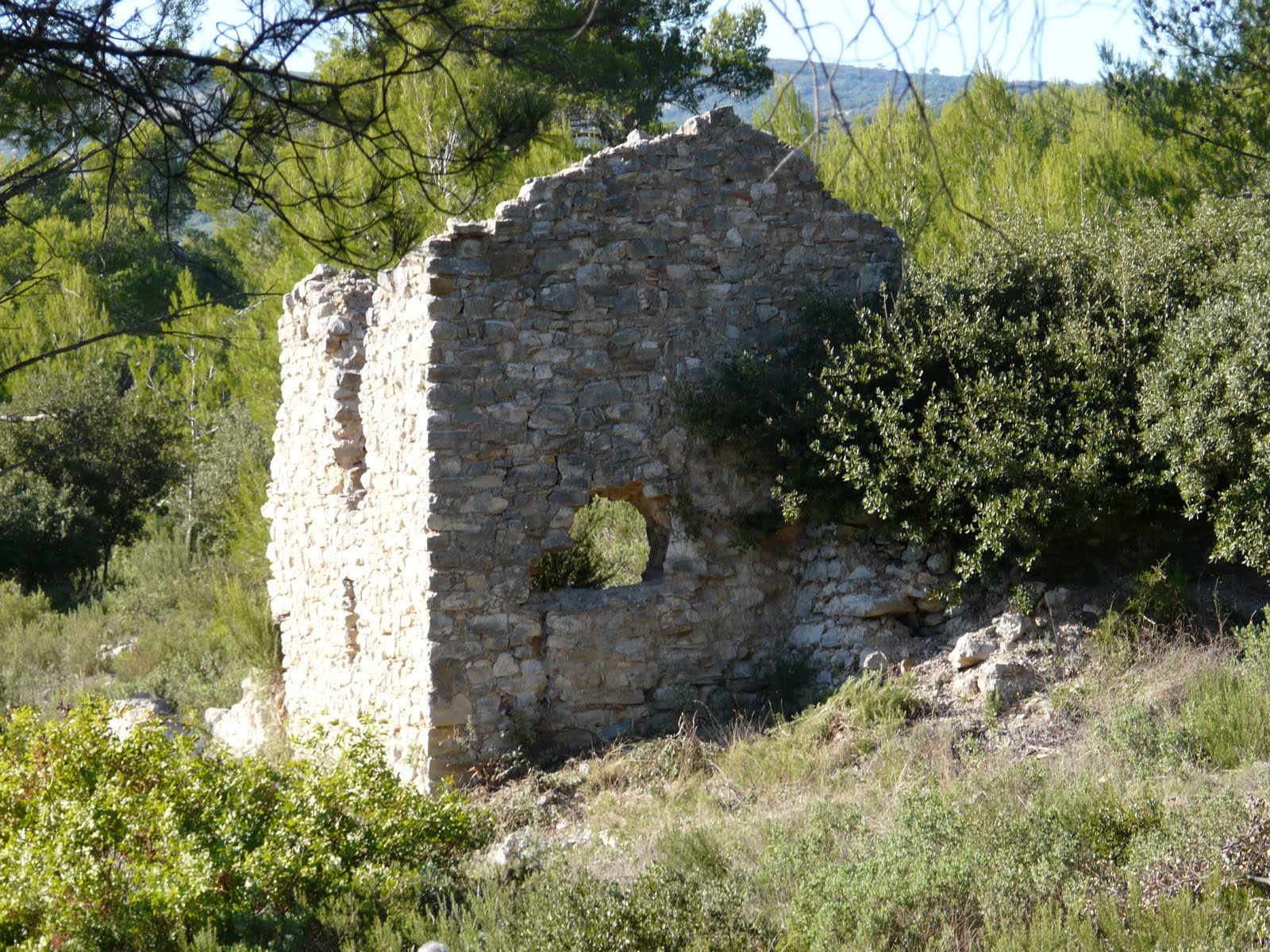 Une forêt en Provence: Réparer la ruine