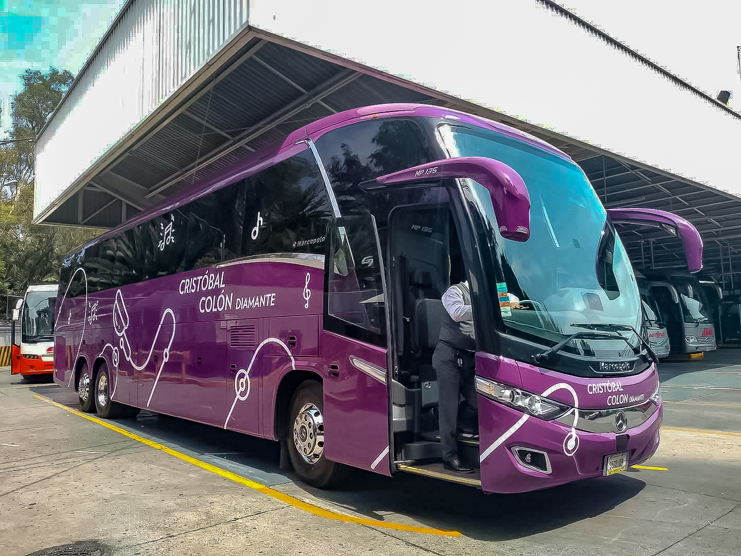 Todas estas líneas de autobús tienen algo en común