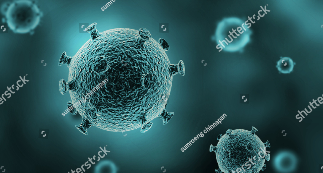 Viruses and viroids