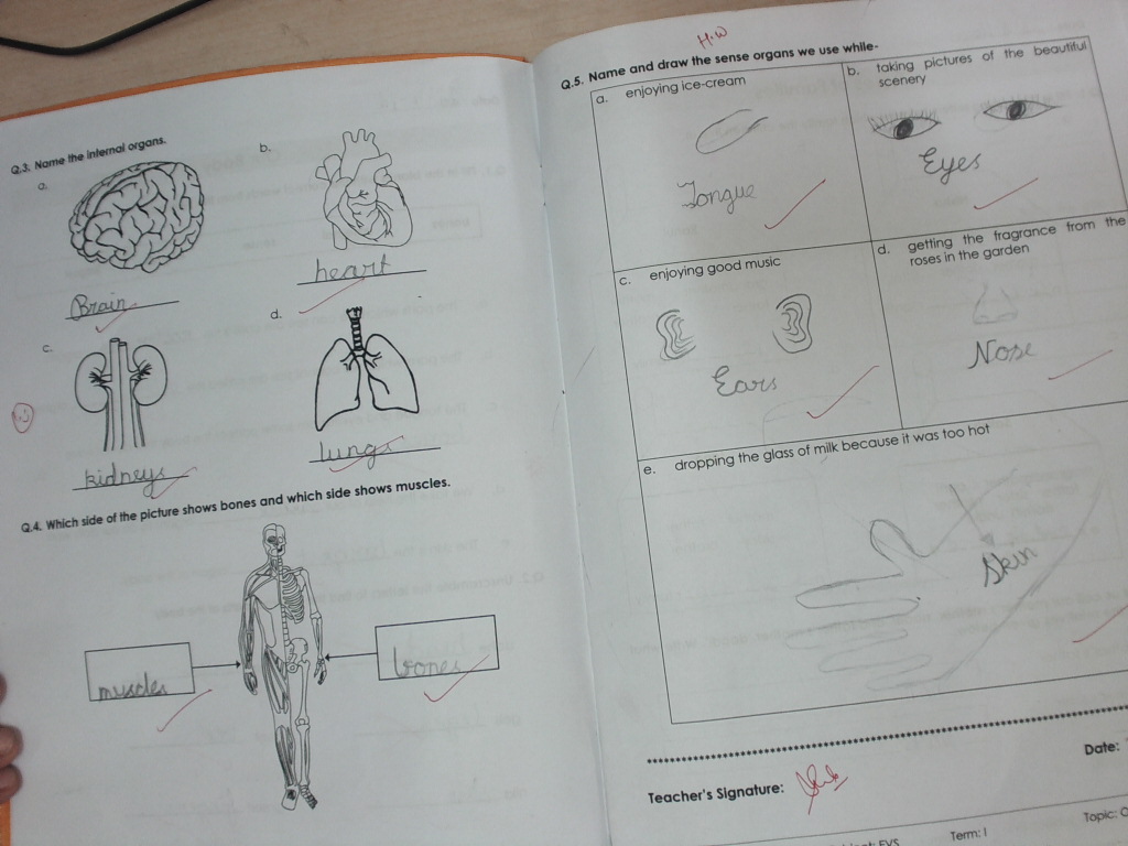 Grade-2 Podar International School, Gandhingar: EVS Class 2 B( workbook ...