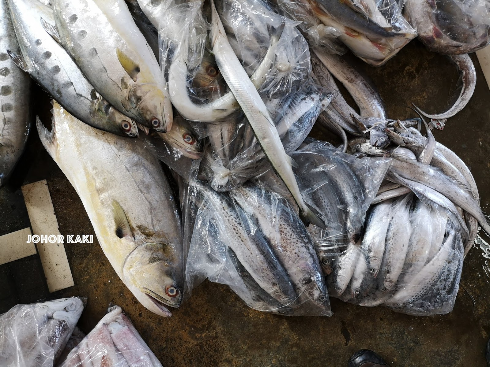 Pontian Wholesale Fish Market Update 2018 |Tony Johor Kaki Travels for ...