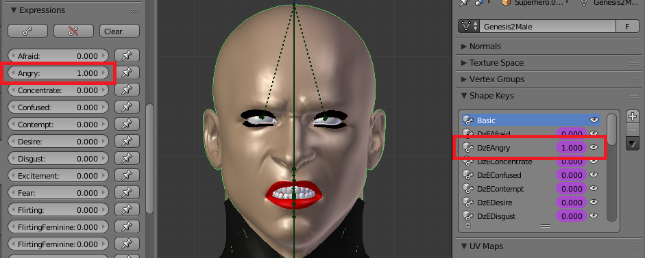 Diffeomorphic: Morphs section