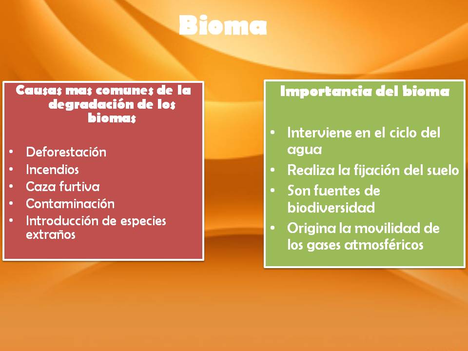 Historia en el Aula: ECOSISTEMAS Y BIOMAS