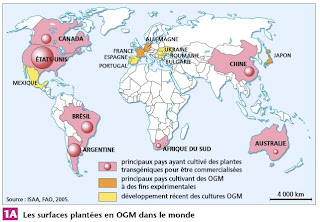 Bien Préparer l'oral en Histoire Géo au BTP CFA OISE: Les OGM