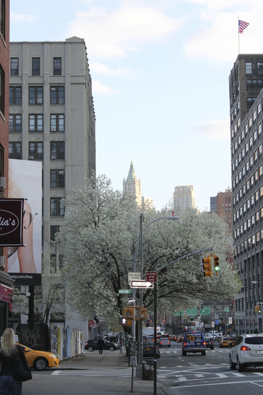A Walk at Sunset from the South Village to the Battery Park Esplanade ...