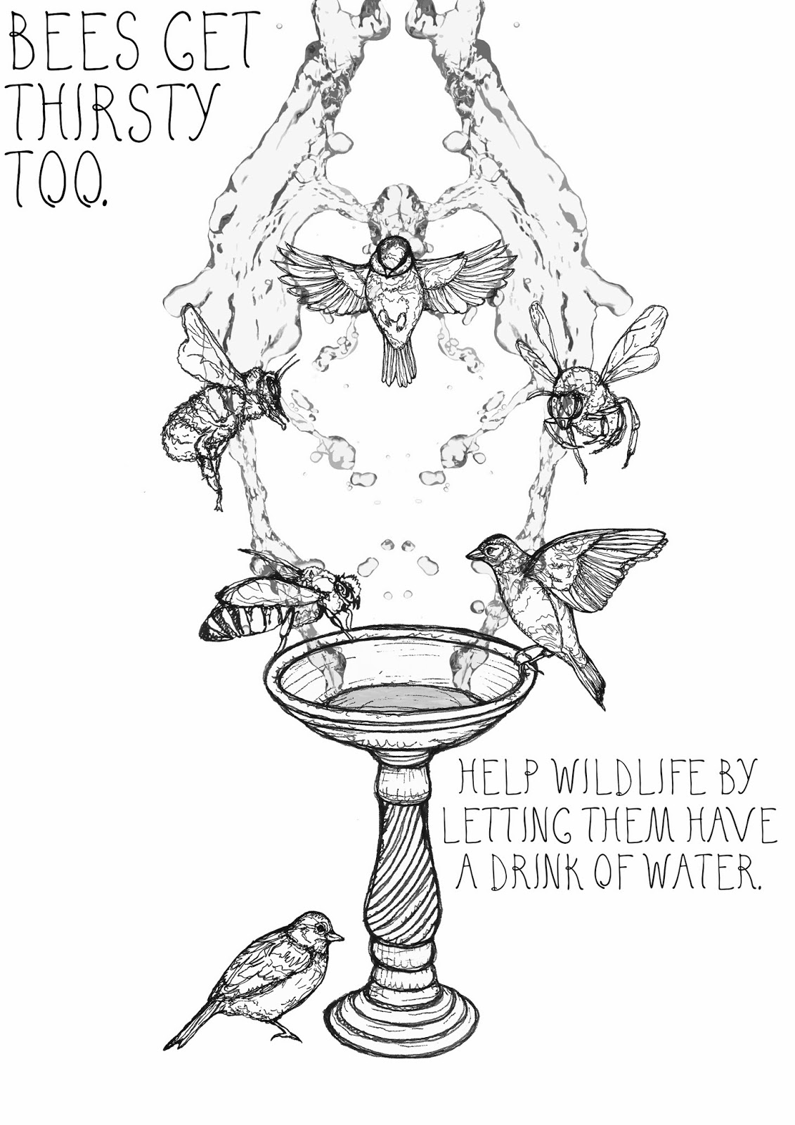 bryony drew a picture