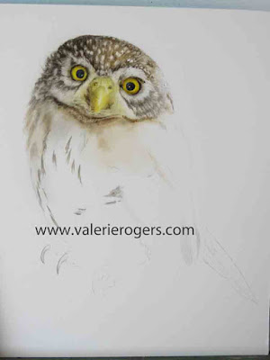 Valerie Rogers Art - www.valerierogers.com