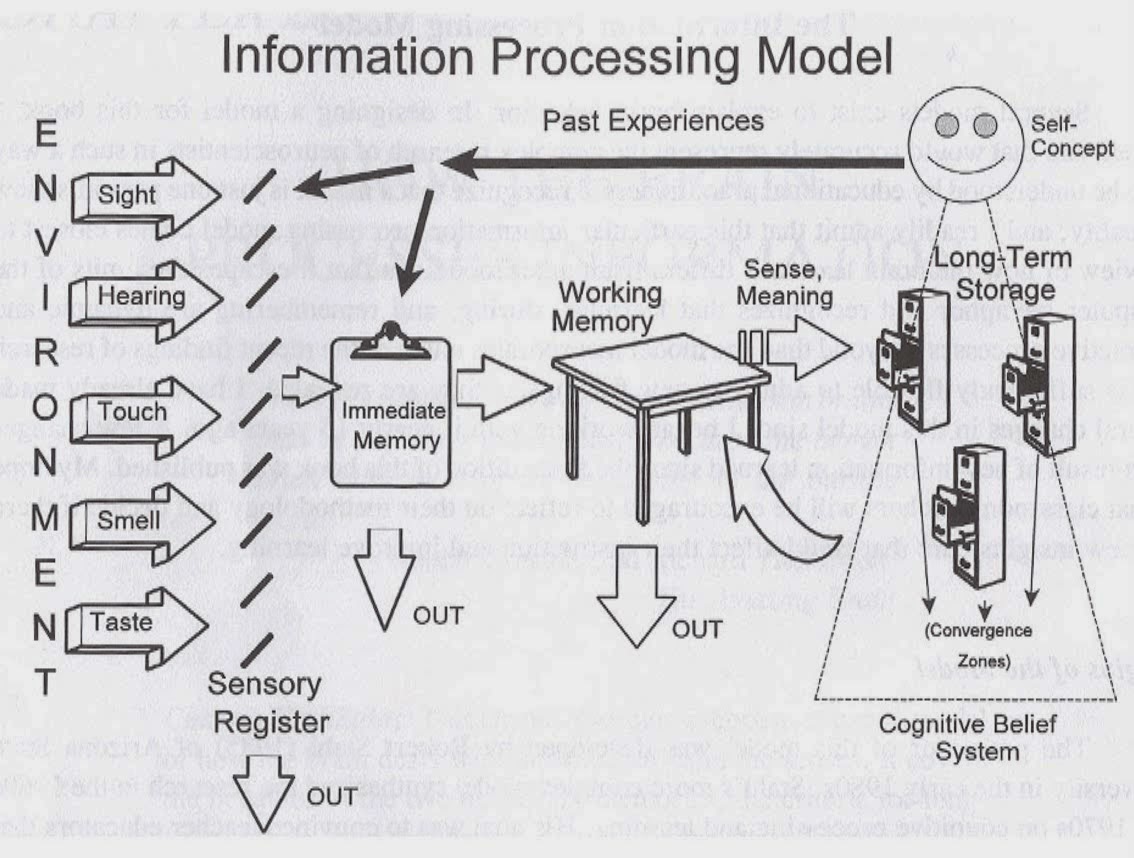 My Learning Place: Brain Science for Teachers