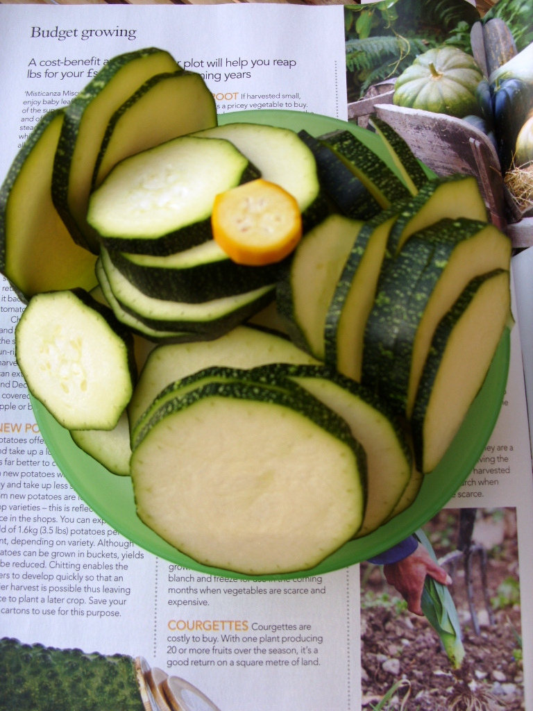 Kelli's Northern Ireland Garden: Courgette Capers