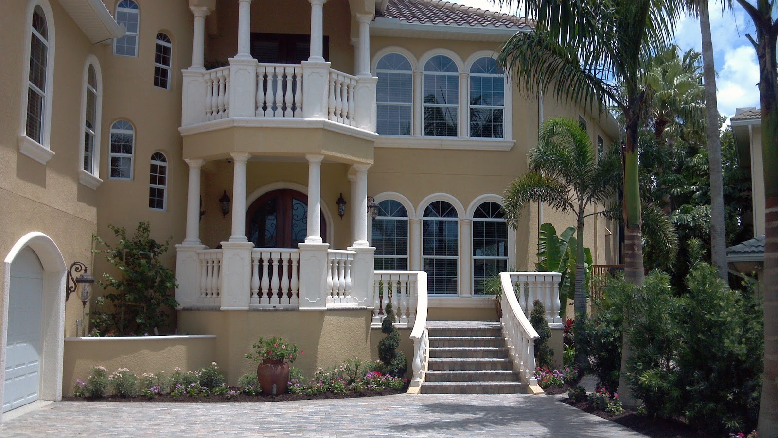 A Quality Plant: Wholesale Palms and Plants for Privacy Hedges ...