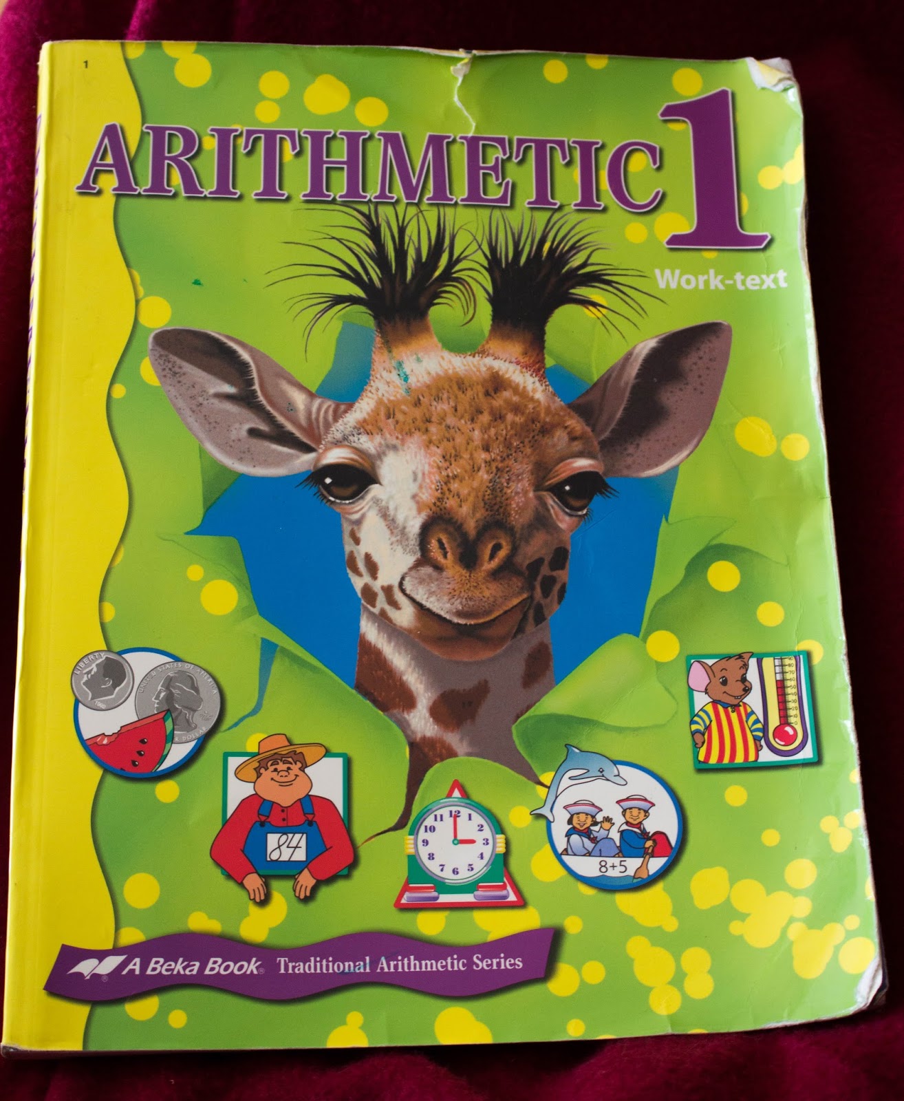 Counting Pinecones 2015 Curriculum Overview counting-pinecones-2015-curriculum-overview