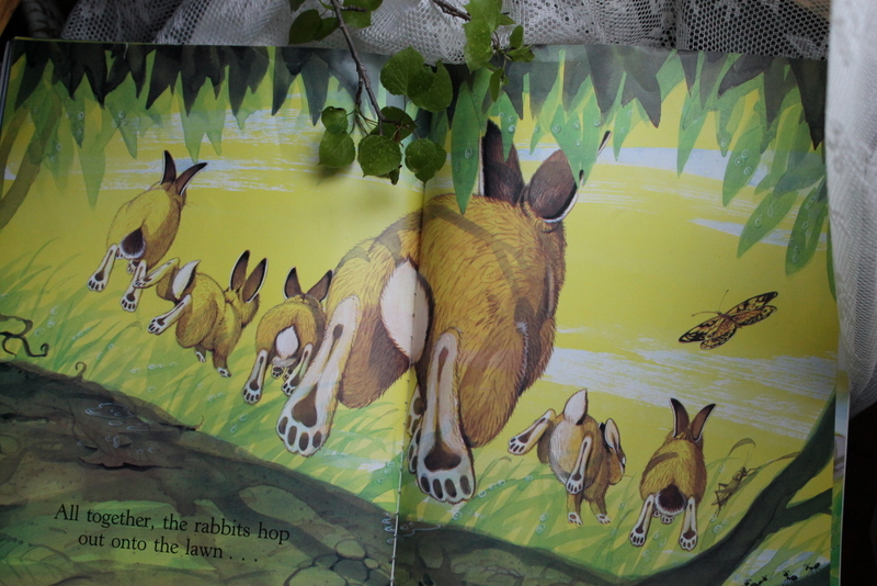 Books and Umbrellas: Rabbits & Raindrops by Jim Arnosky