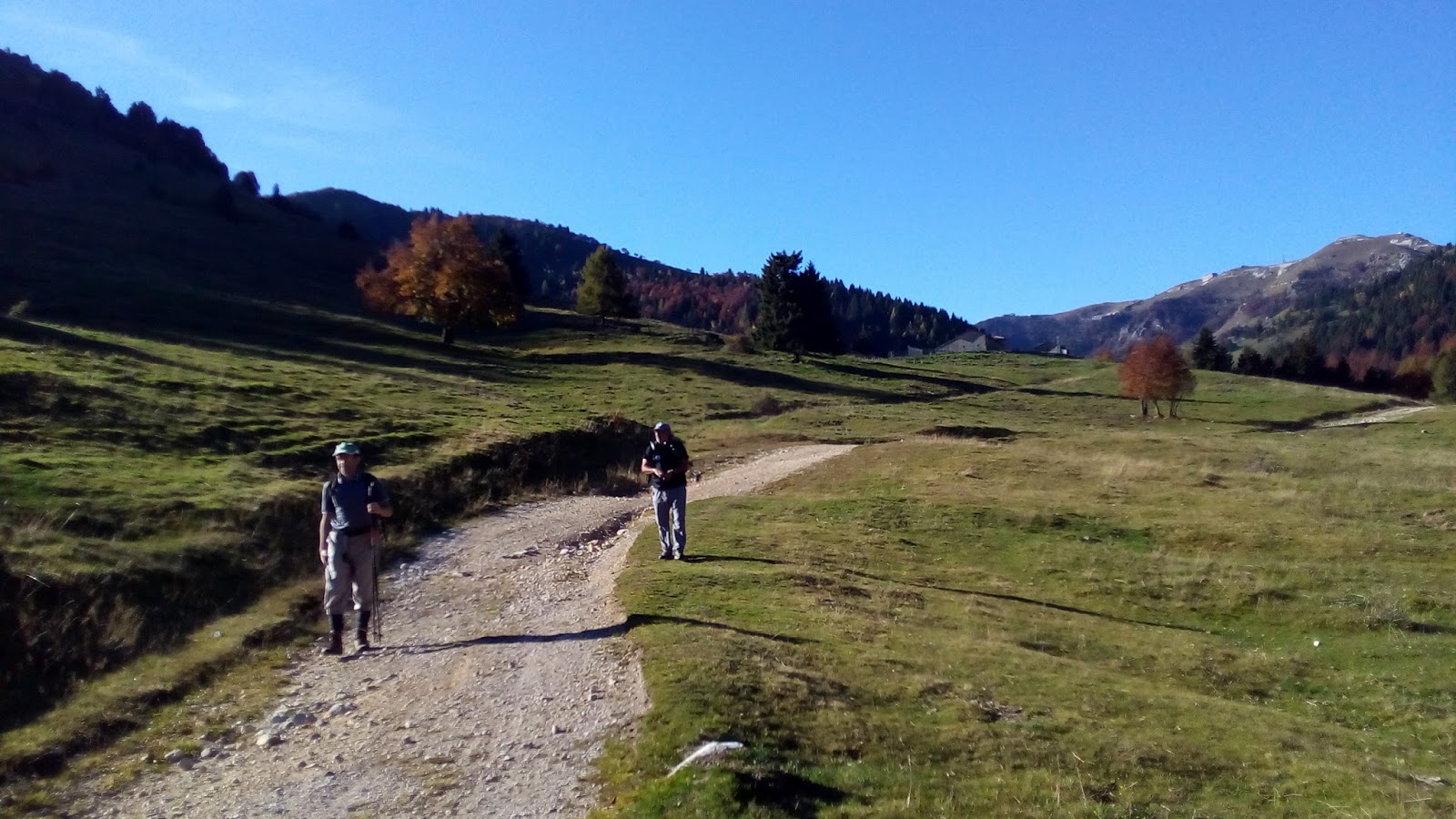 Su strade e sentieri: MONTE GRAPPA: giro delle malghe