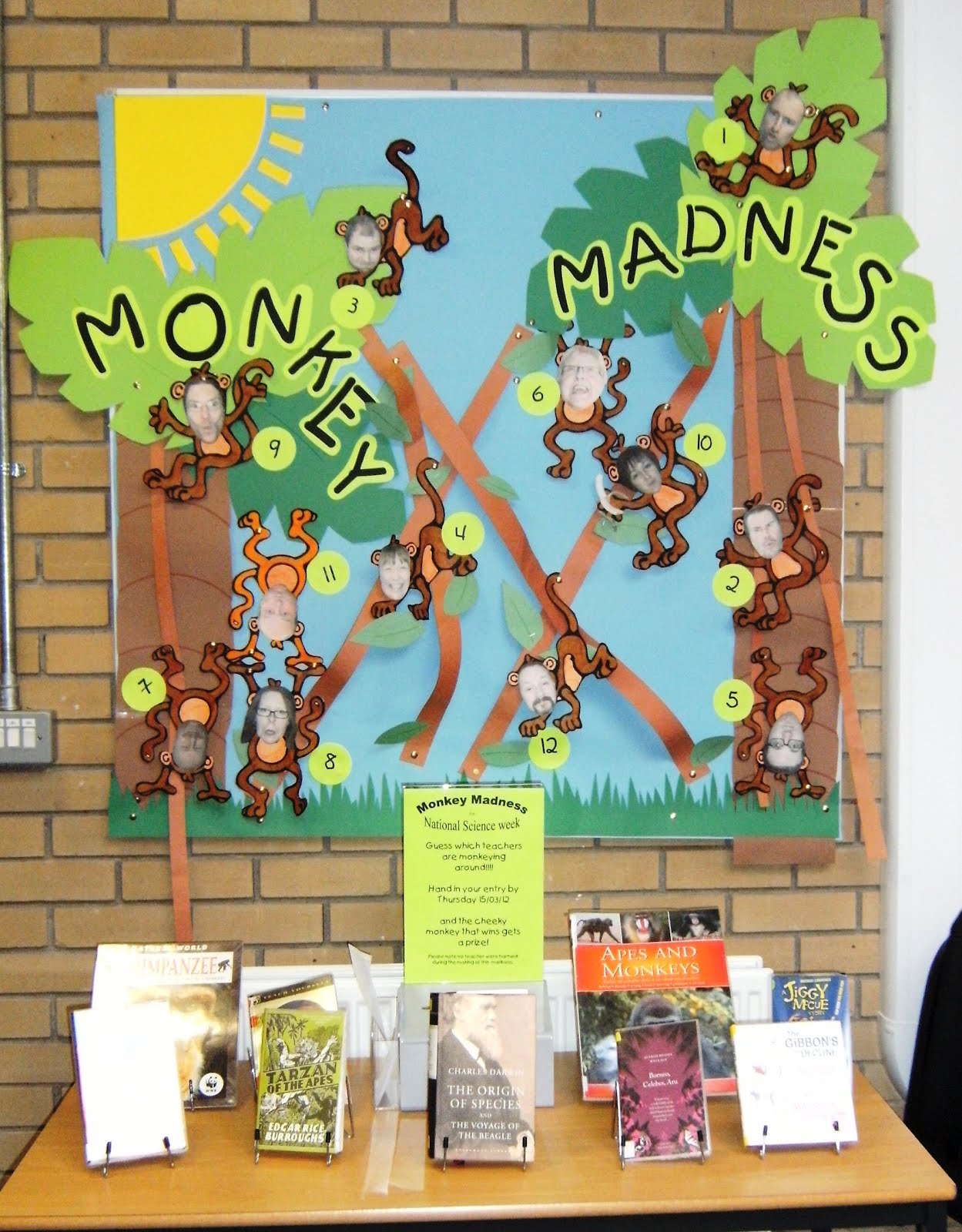Library Displays: Monkey Madness