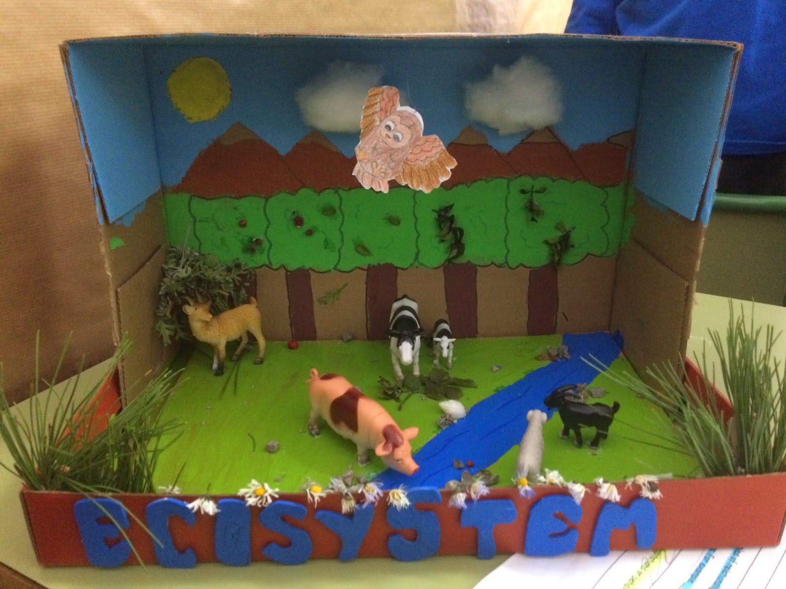 Pond Ecosystem Science Models