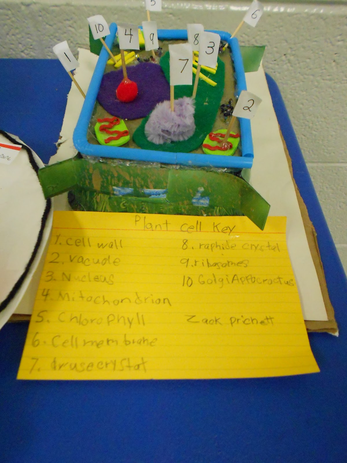 Mrs. McDonald's 4th Grade: Make a Cell Model Project