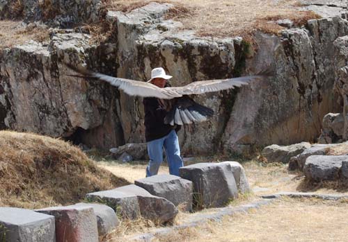 Side Trips: EL CONDOR PASA