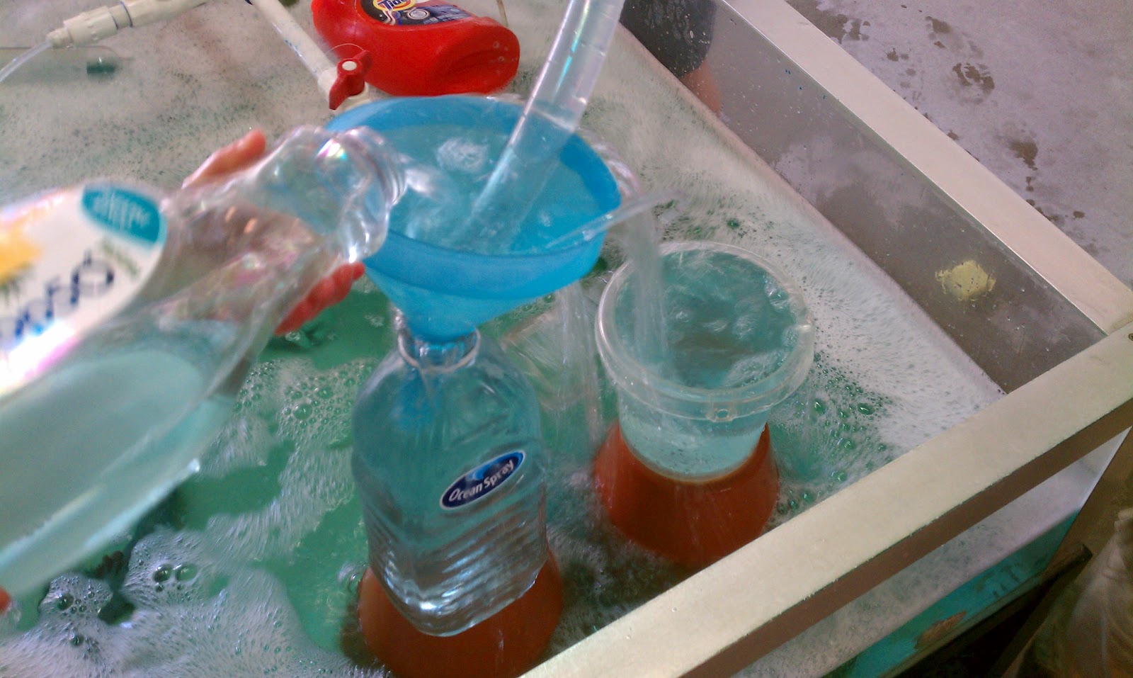 Exploring the Outdoor Classroom: Science Lab!