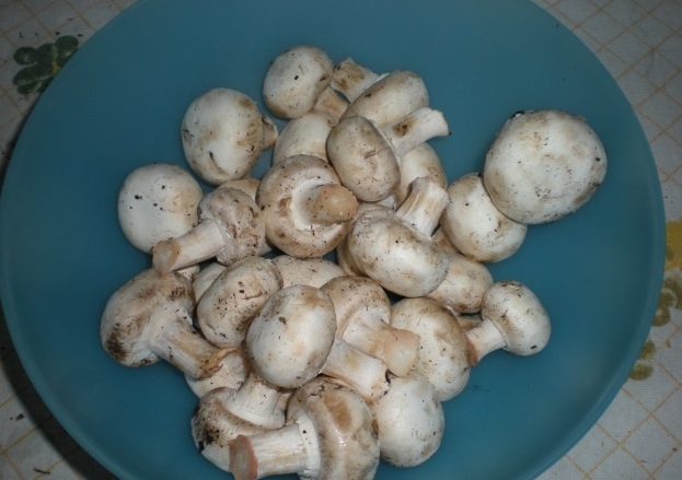 Si te pastrojme kerpudhat champignon. - Recete gatimi
