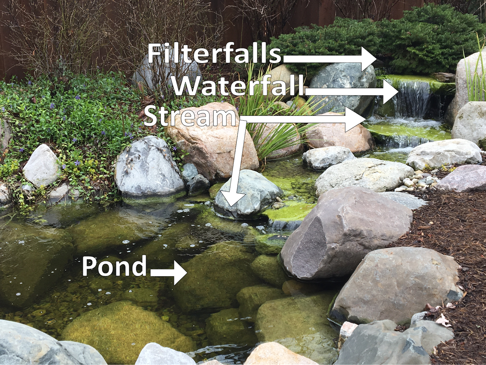 What Exactly Is Pond Filtration?