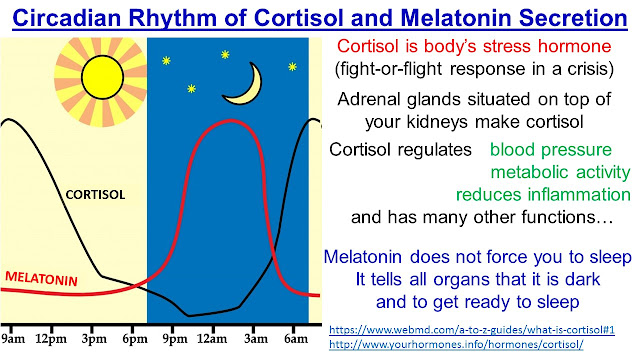 ektalks: SLEEP (Part 2): Why Do We Need to Sleep? The Science of Sleep ...