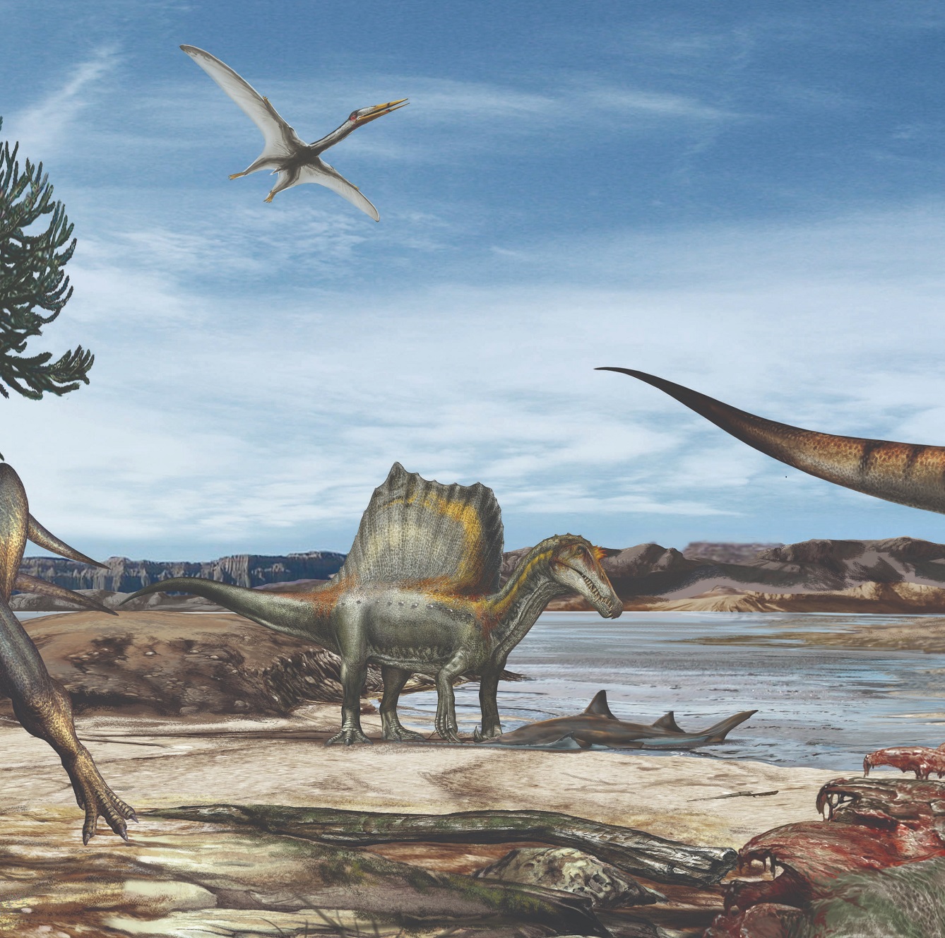 Species New to Science: [Paleontology • 2020] Geology and Paleontology ...
