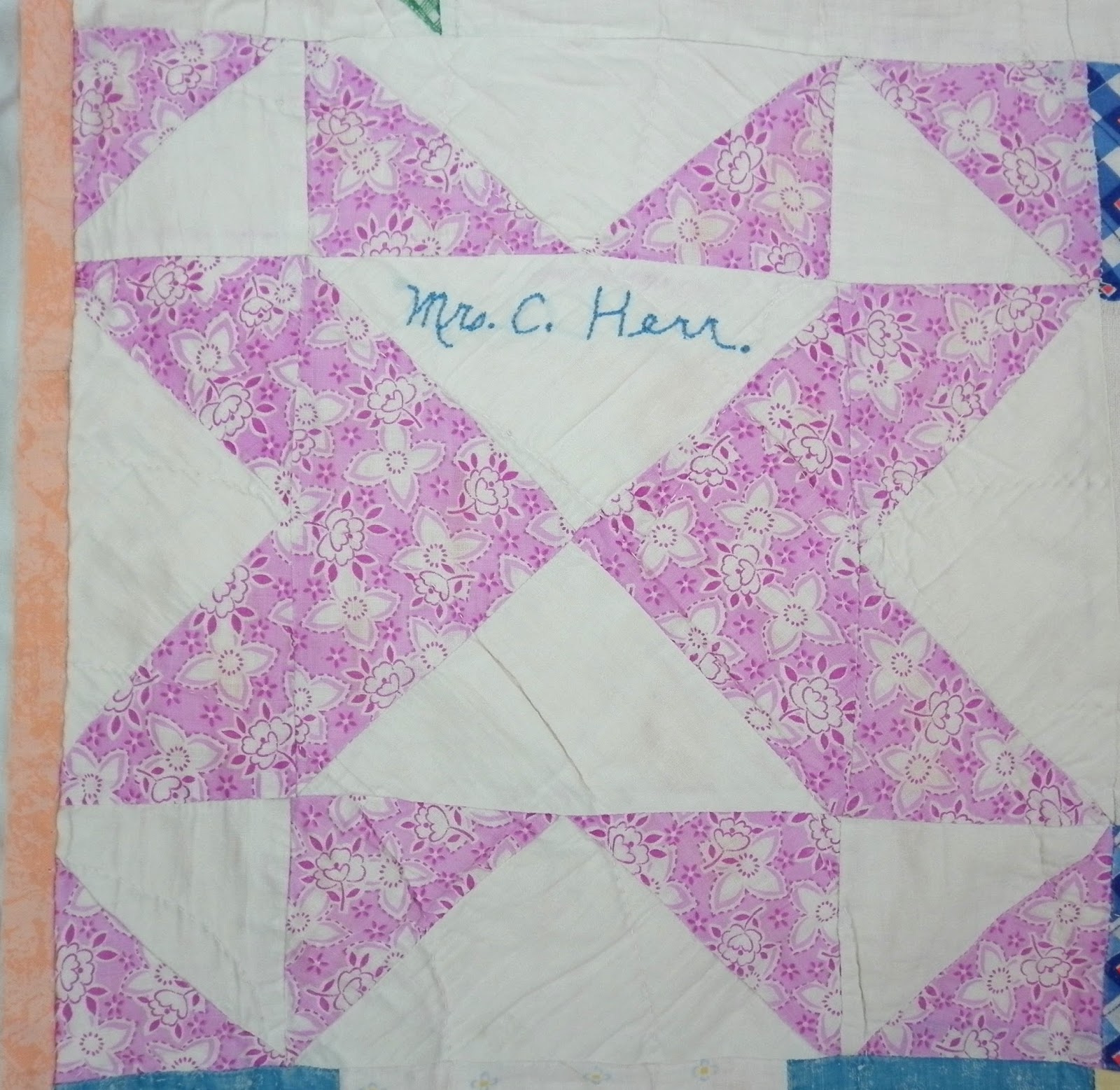 90 Years Ago: Duck, Duck ... Brown Goose