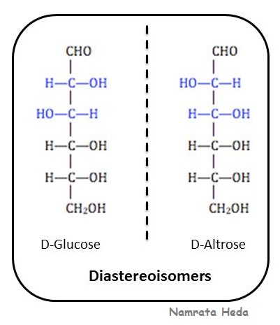B for Biology: Biomolecules of the Cell - Carbohydrates (Part 1)