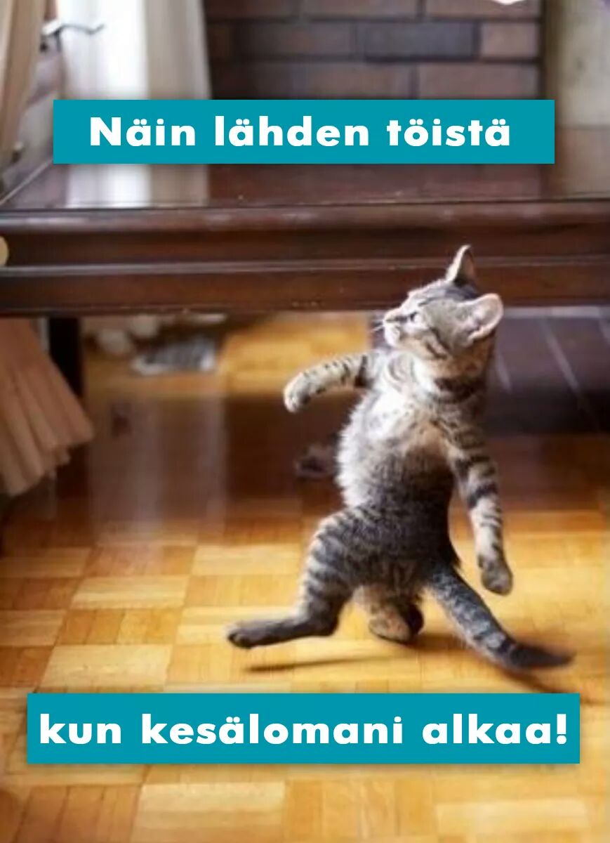 Onni on jo ovella: Vihdoin LOMA