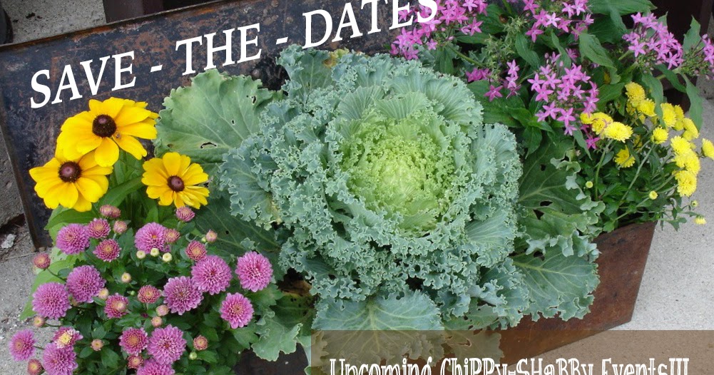 ChiPPy! - SHaBBy!: UpComing FALL ChiPPy-SHaBBy Events!*!*! OMG!!! - (3 ...