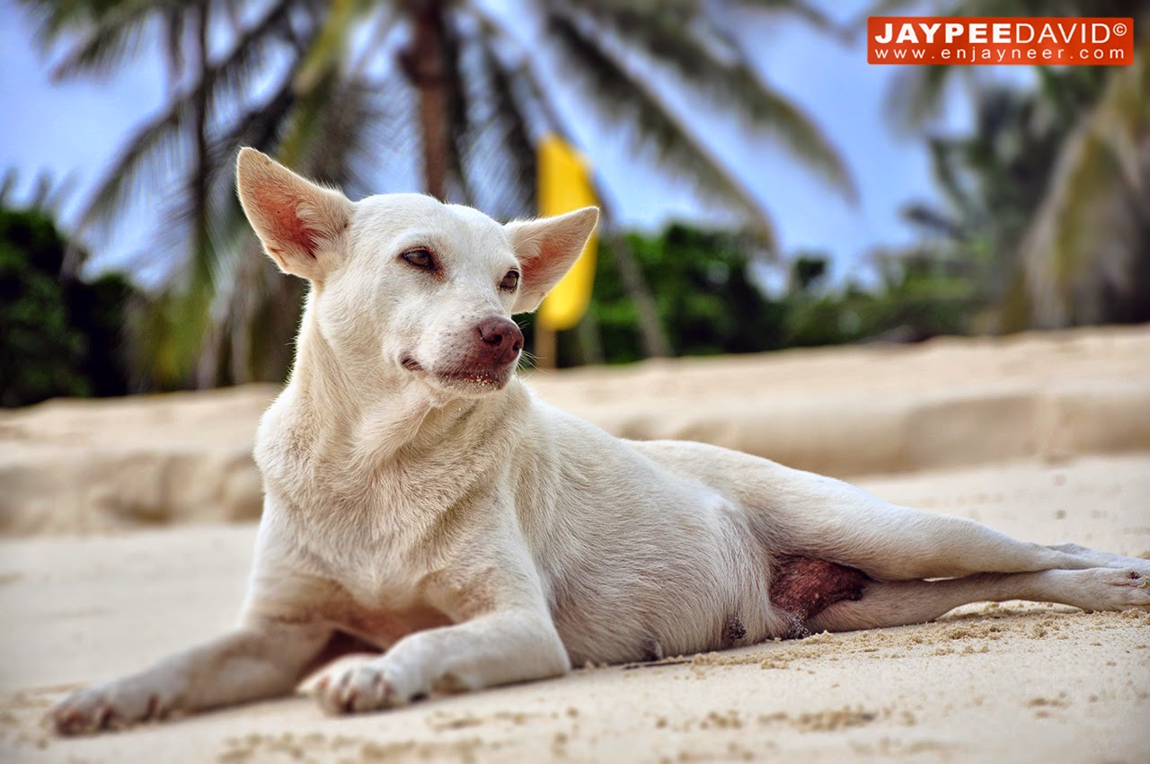 Calaguas Island: Braving the Storm for Paradise | Camarines Norte