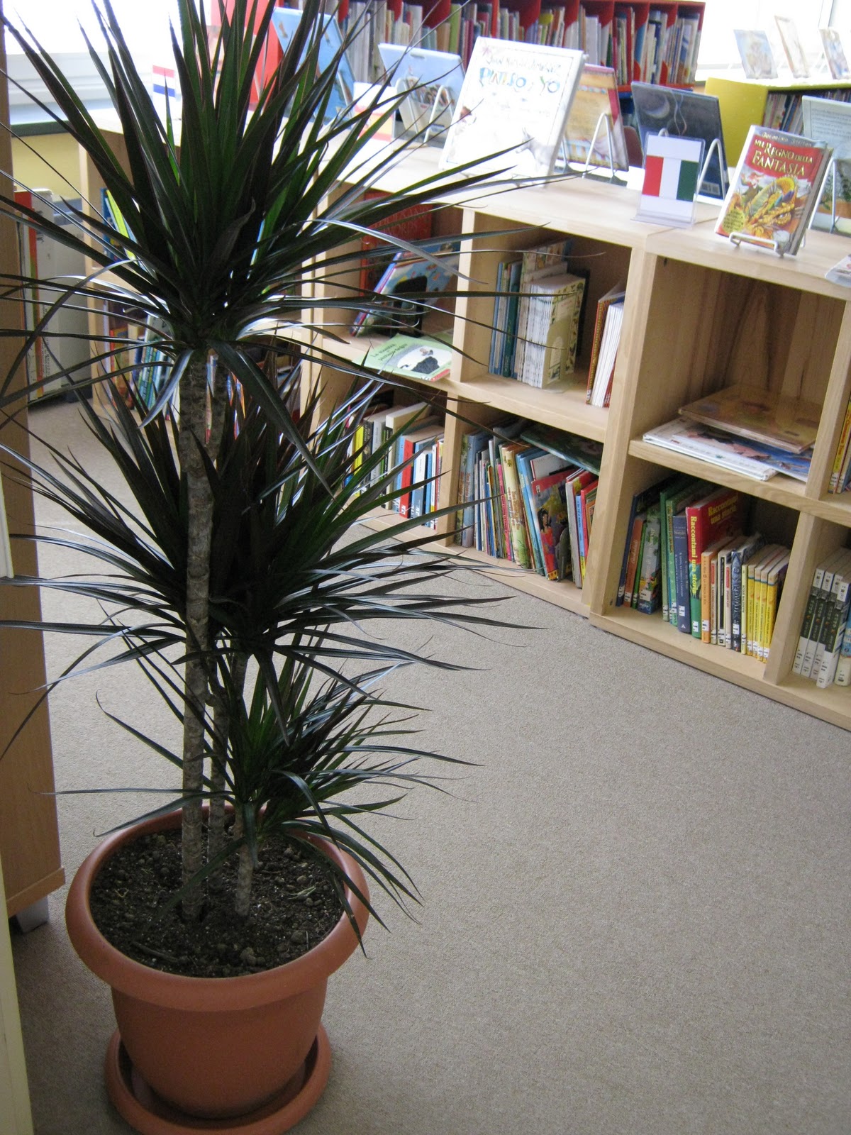 LibraryBond: Signs and wonders in the library part 2