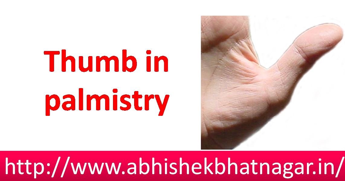 Thumb in palmistry,horizontal lines on thumb palmistry, - Abhishek ...