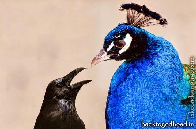 Inspirational Musings ఇన్స్పిరేషనల్ మ్యూసింగ్స్: !654- Who is Happy ...