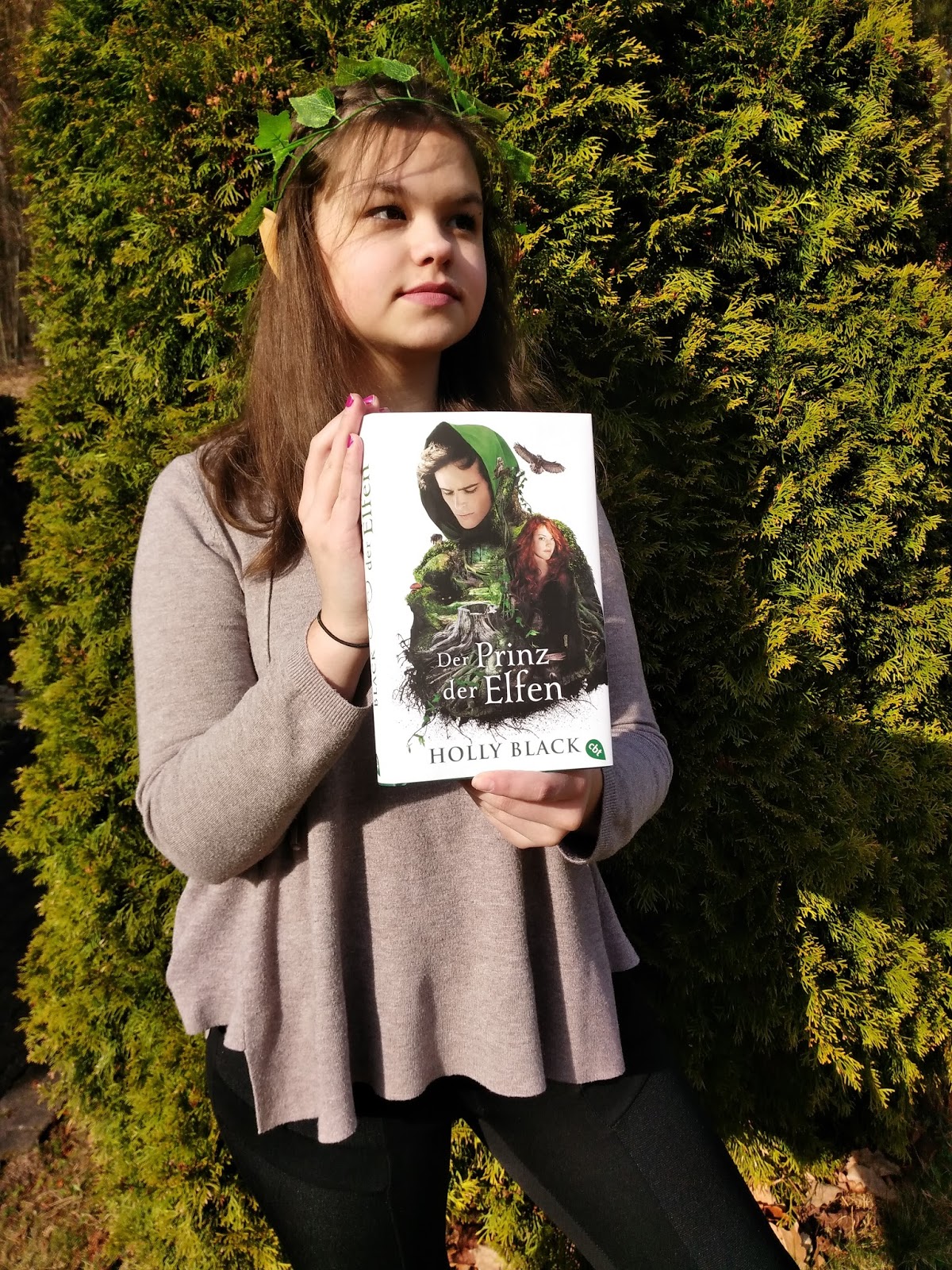 Der Prinz der Elfen - Holly Black