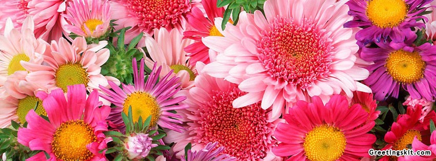 Beautiful Flowers Facebook Covers