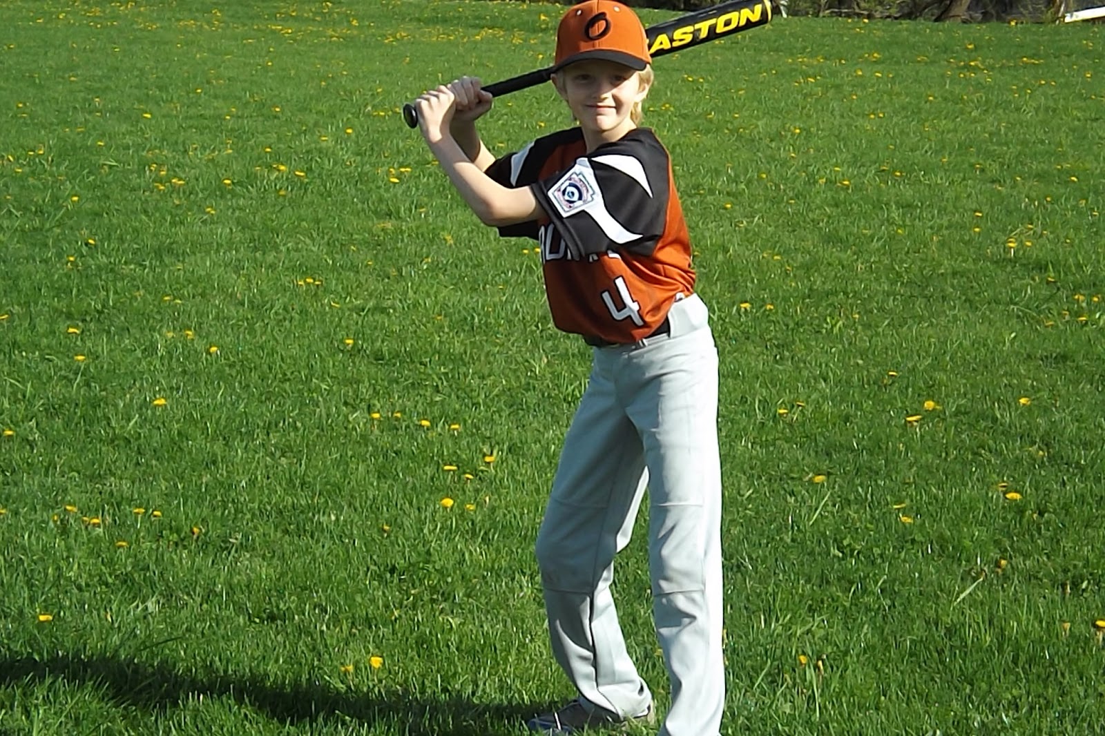 ROHRER'S LITTLE LEAGUE BALL CLUB 2013 SEASON: ROHRER'S A GREAT TEAM