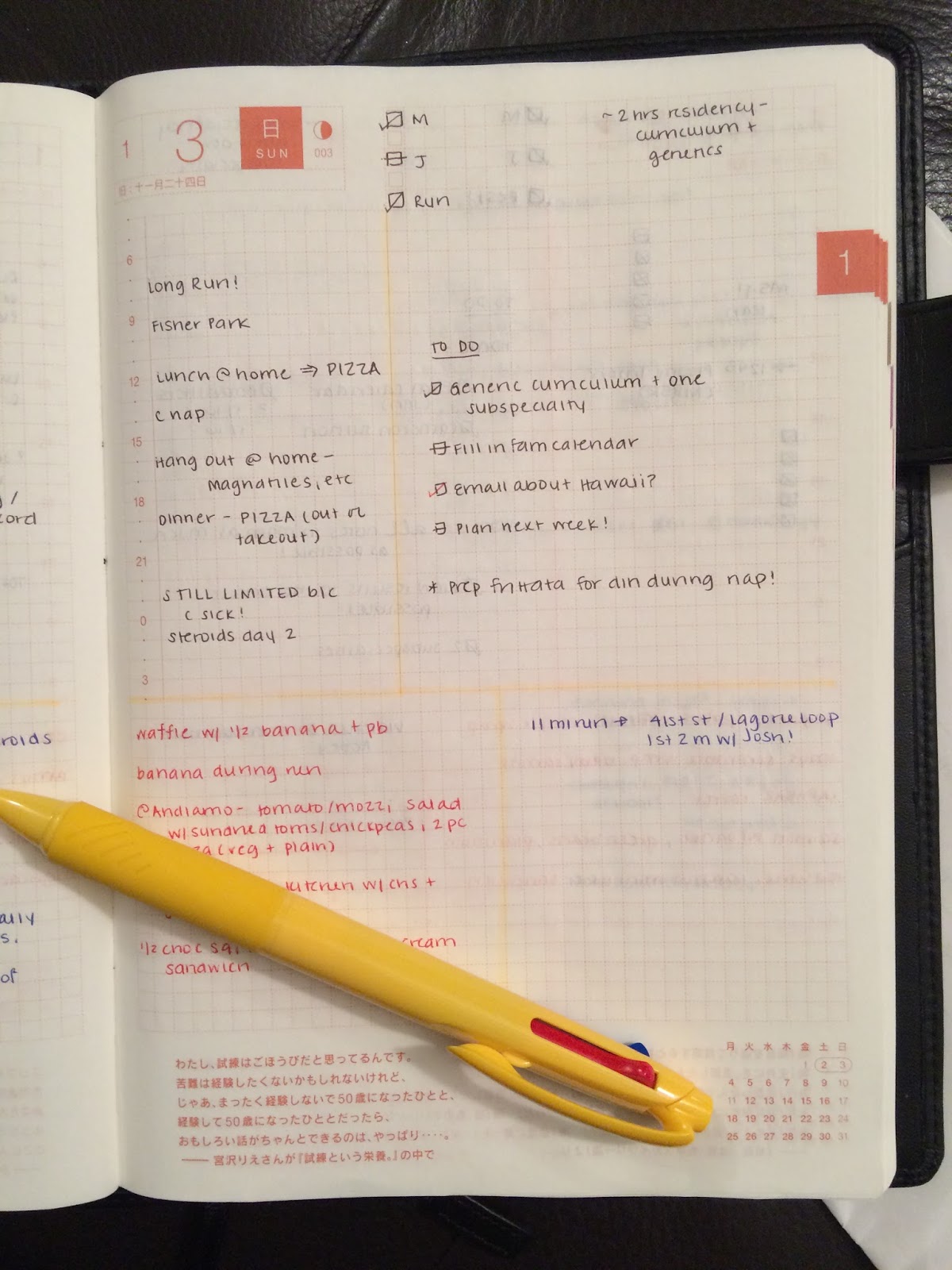 Daily Hobonichi love (and examples!) - The Shu Box