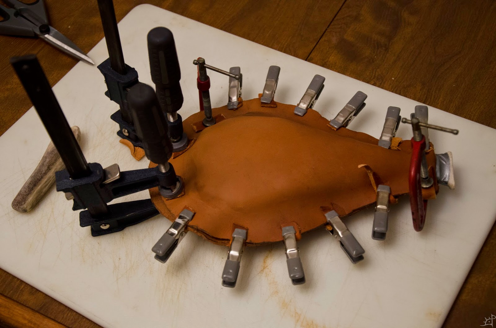 Shards of the Dark Age: Waterskin