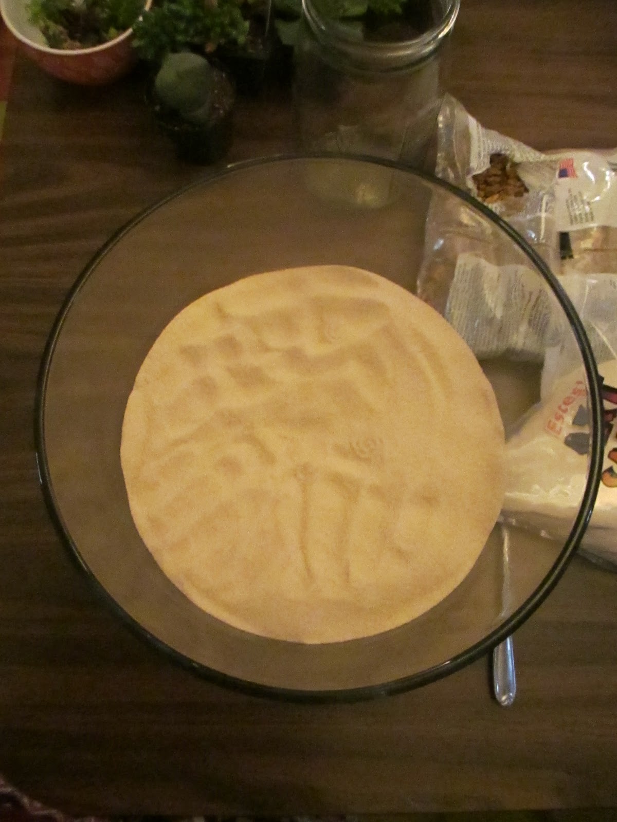 Grandma Henley: Terrariums aka the Mini-Garden Parfait